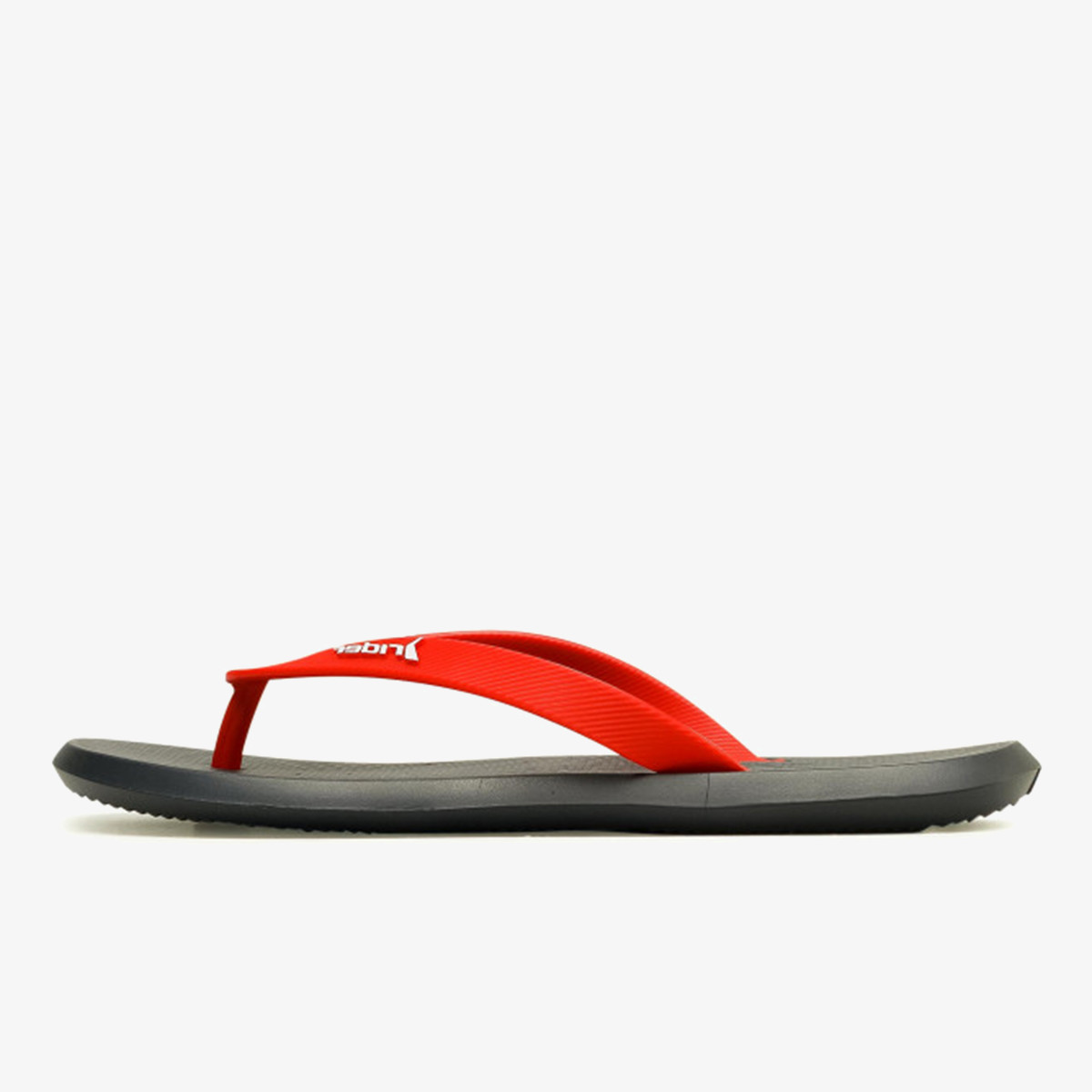 Rider Japanke R1 Speed | Sport Reality